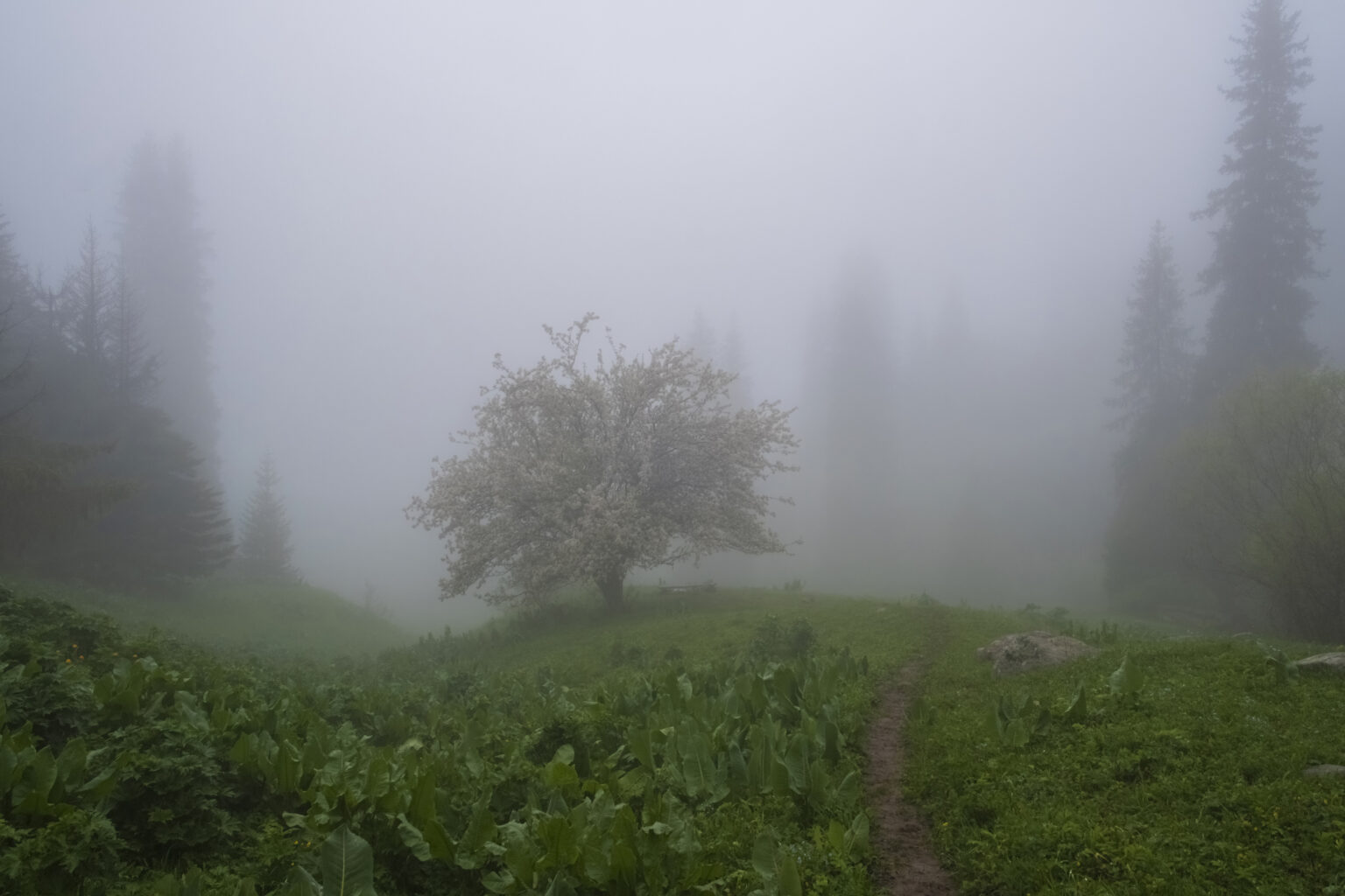 Adriaen Block: Master Mariner – Seasons Magazines