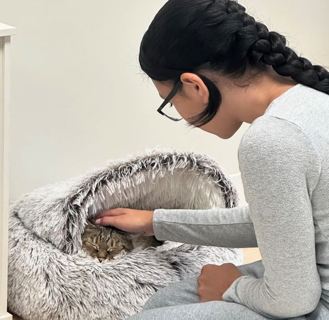 Coffee, Cats and Companions: Marcie’s Angels Cat Cafe – Seasons Magazines